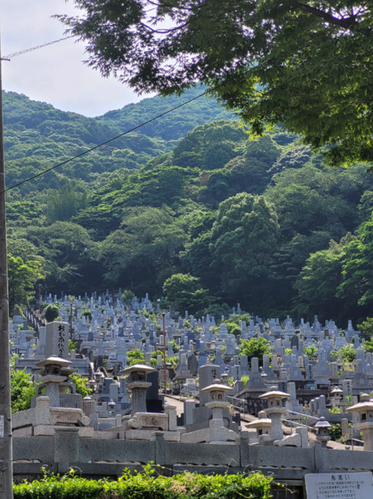 Japan's most beautiful graveyard? A trip to Adachi Cemetery
