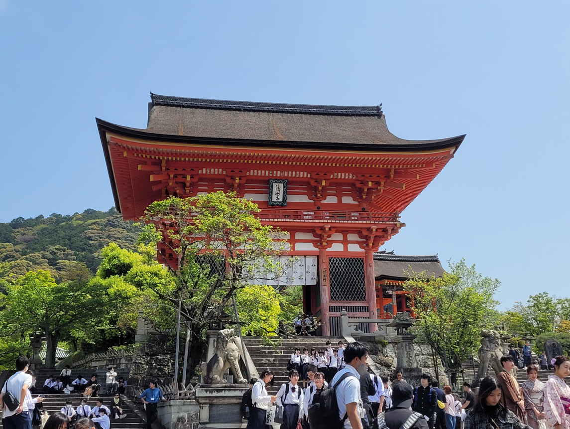 How living in Japan can broaden your perspective on the world